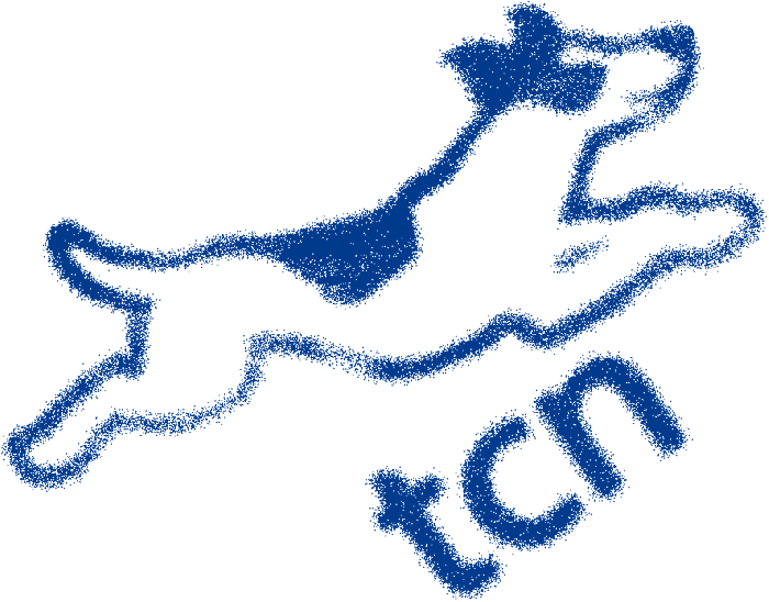 Karriere bei TCN Property Projects GmbH – Entdecken Sie Ihre Möglichkeiten